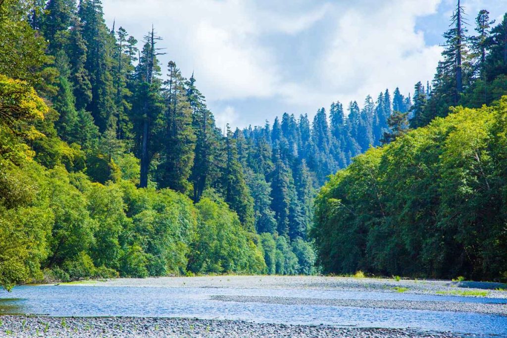 Best 15 Hiking Trails in Northern California - Northern California